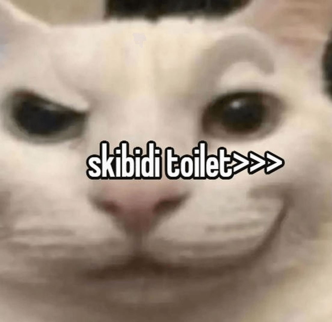 ($SKIBIDI) - The Original SkibidiCoin Ticker - Home